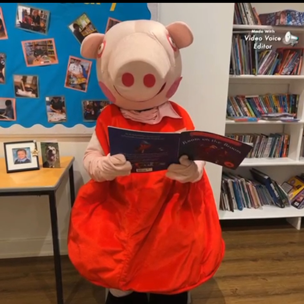 Welcome to Overton School